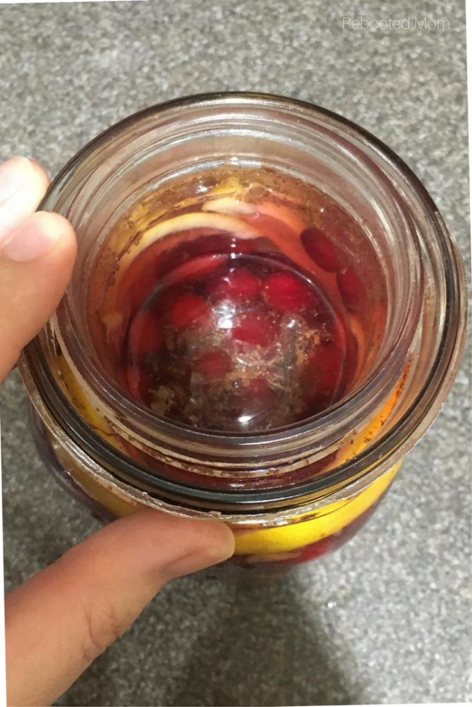 Fermented Pickled Cranberries