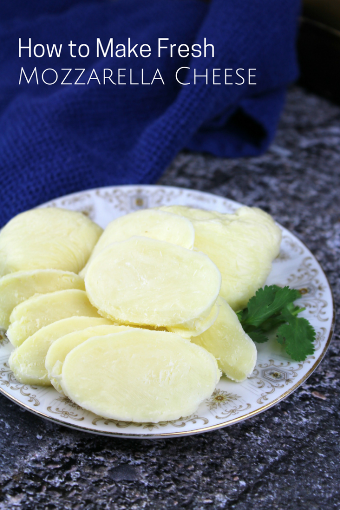 How to Make Fresh Mozzarella Cheese