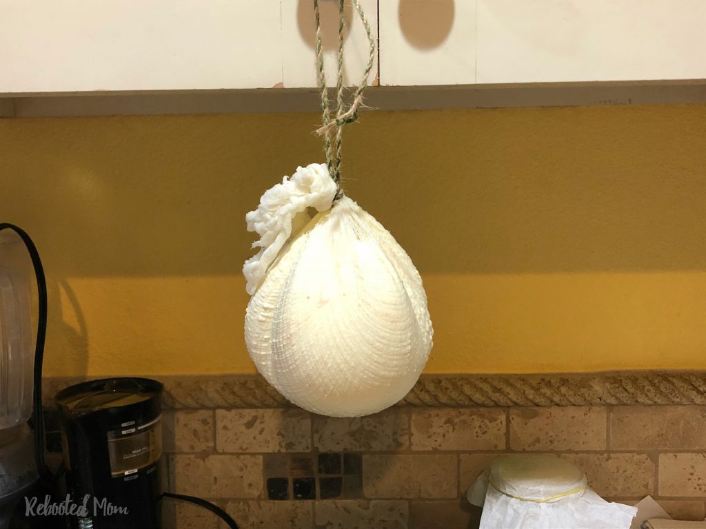How to Make Queso Panela