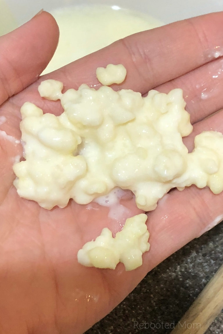 How to Take a Break from Making Kefir