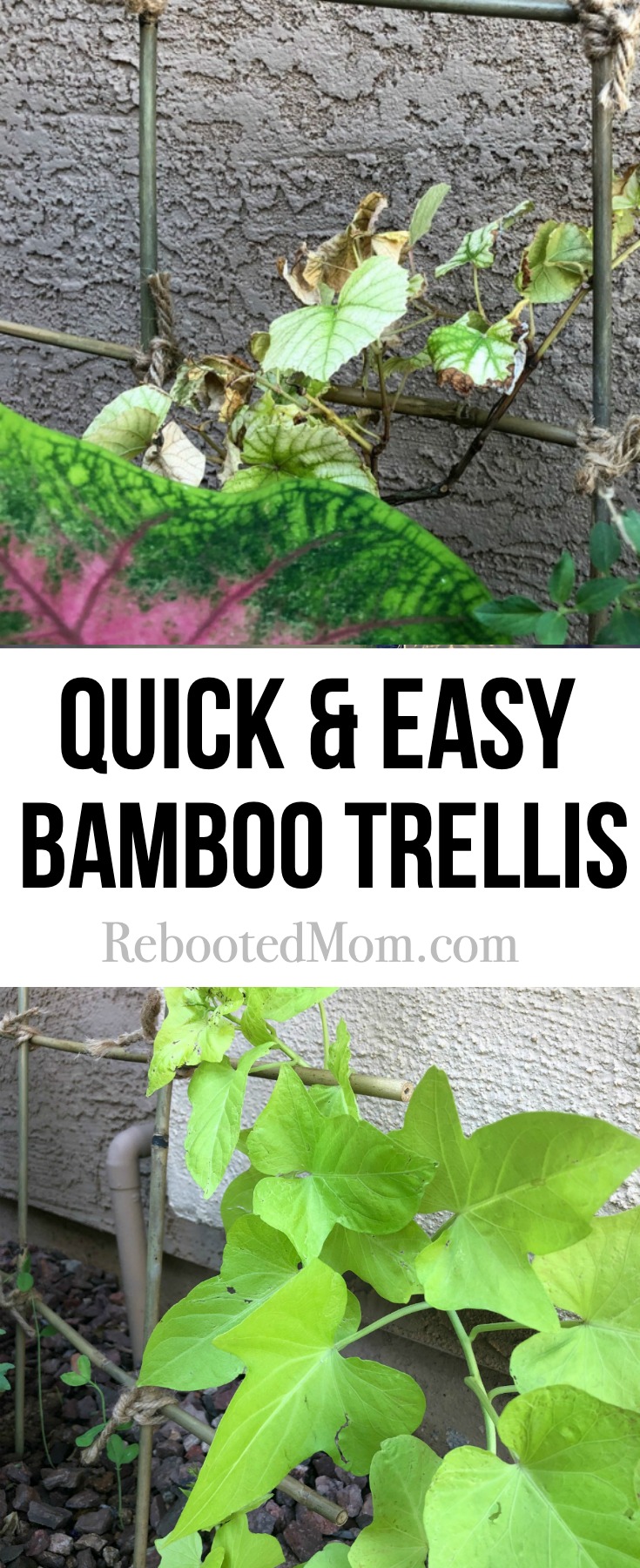 How to Build a Bamboo Trellis - Rebooted Mom
