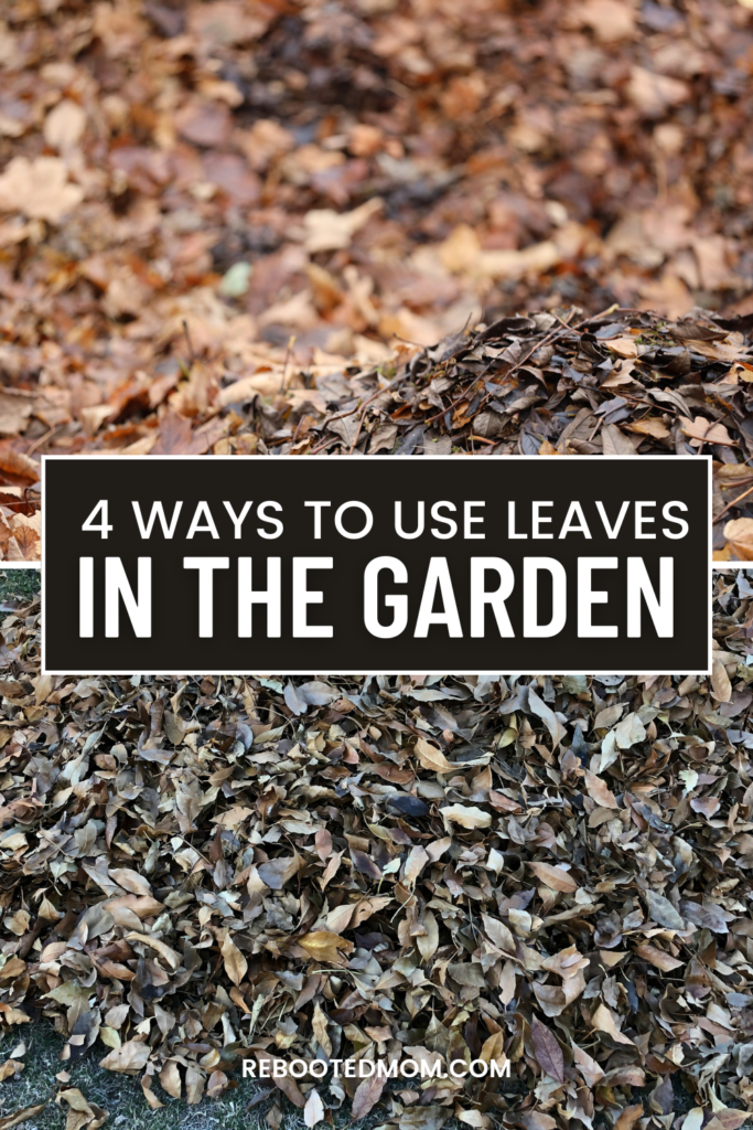 4 Ways to Use Leaves in the Garden